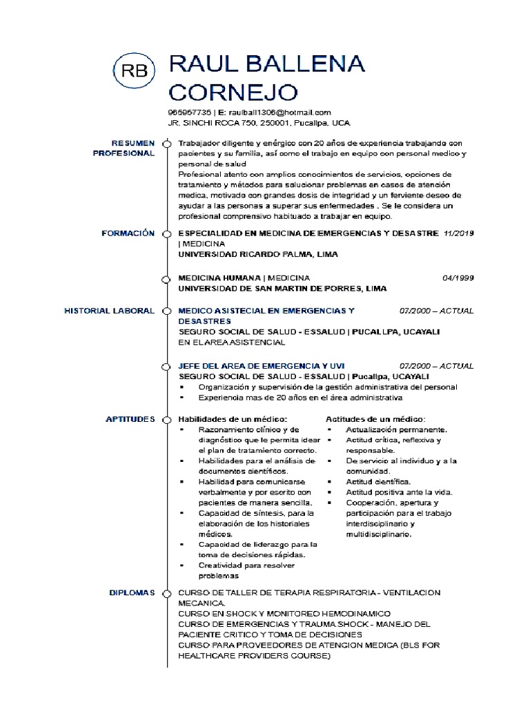 CV Raul Ballena | PDF