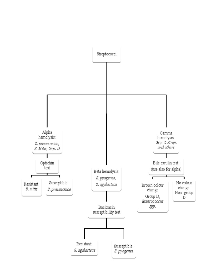 Flow Chart Micro B | PDF