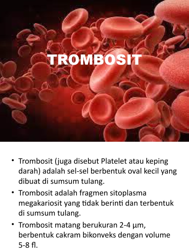 Fungsi dan Peran Penting Trombosit dalam Proses Hemostasis | PDF