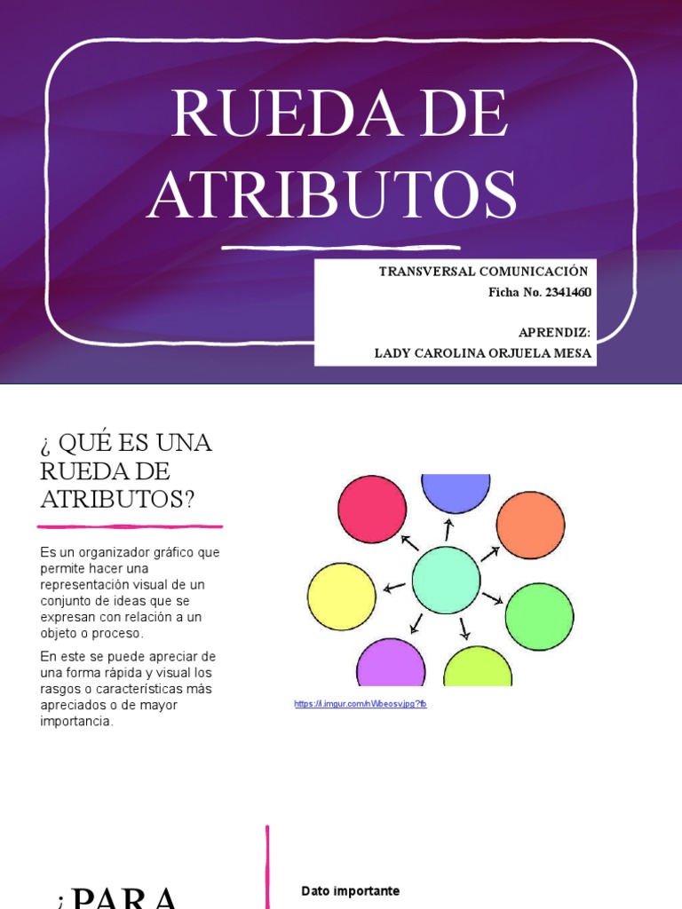 Rueda de Atributos | PDF | Evaluación neuropsicológica | Aprendizaje