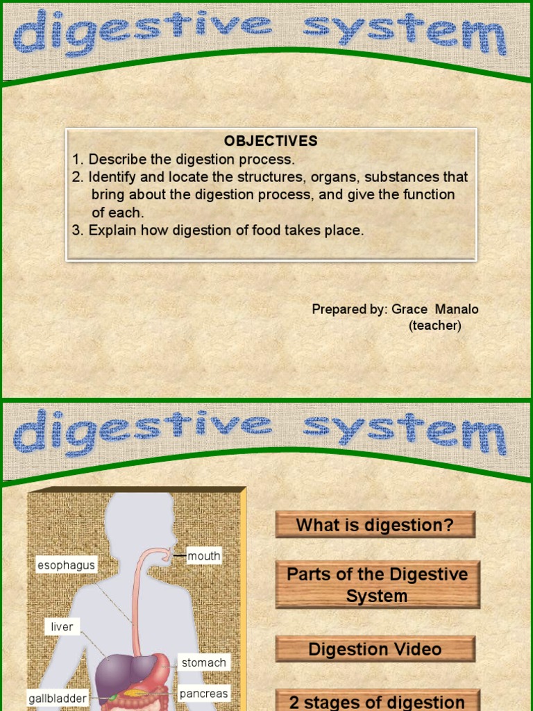 Objectives: Prepared By: Grace Manalo (Teacher) | PDF | Digestion ...