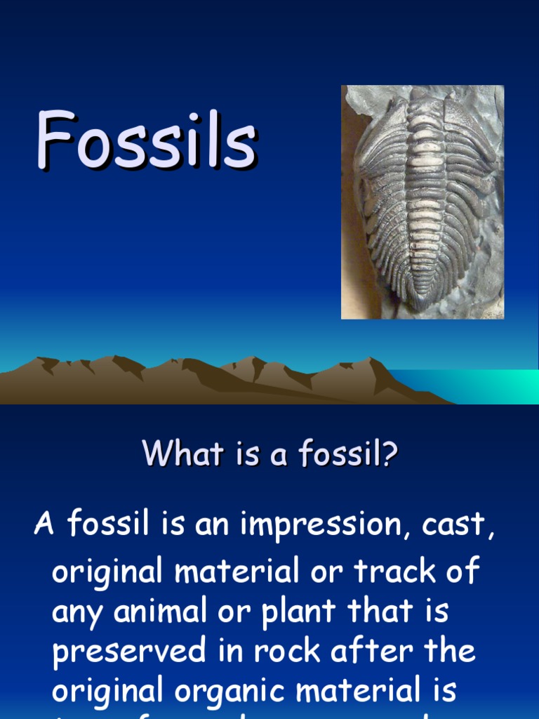 Fossils | PDF