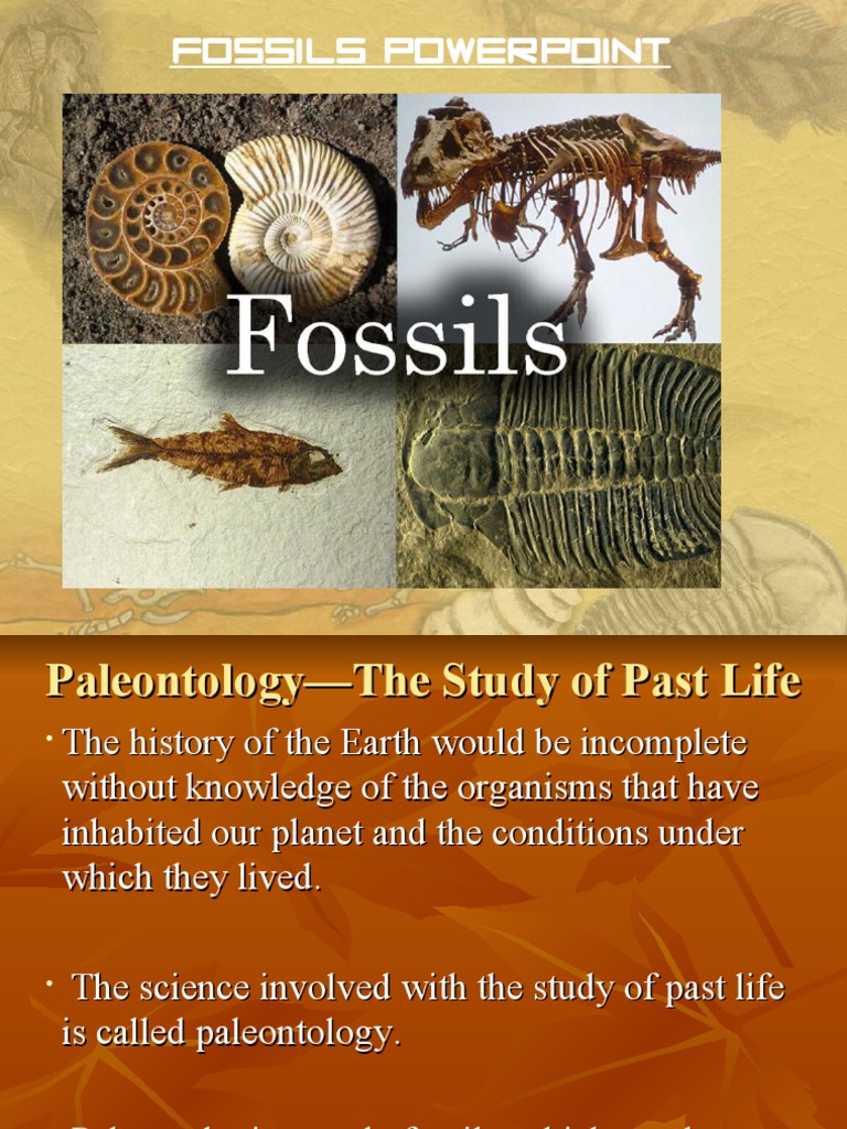 Fossils PowerPoint 2018 EE | PDF | Fossil | Paleontology