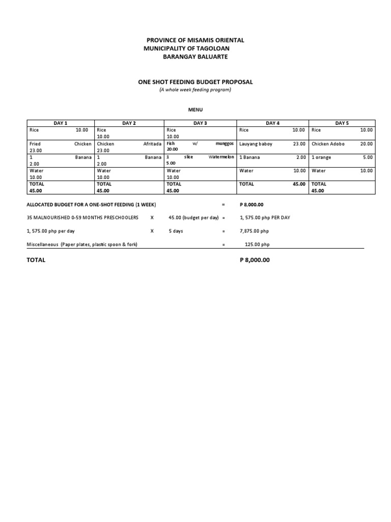 BUDGET PROPOSAL For Feeding Program | PDF