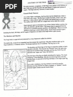 Frog vs Human Organ Systems Explained | PDF | Human Digestive System ...