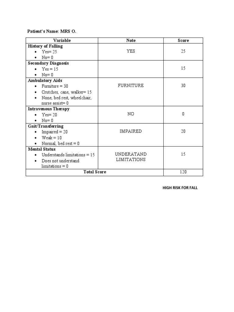 Morse Fall Scale Assessment Results | PDF