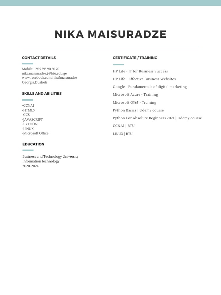 Nika Maisuradze CV | PDF | Computers