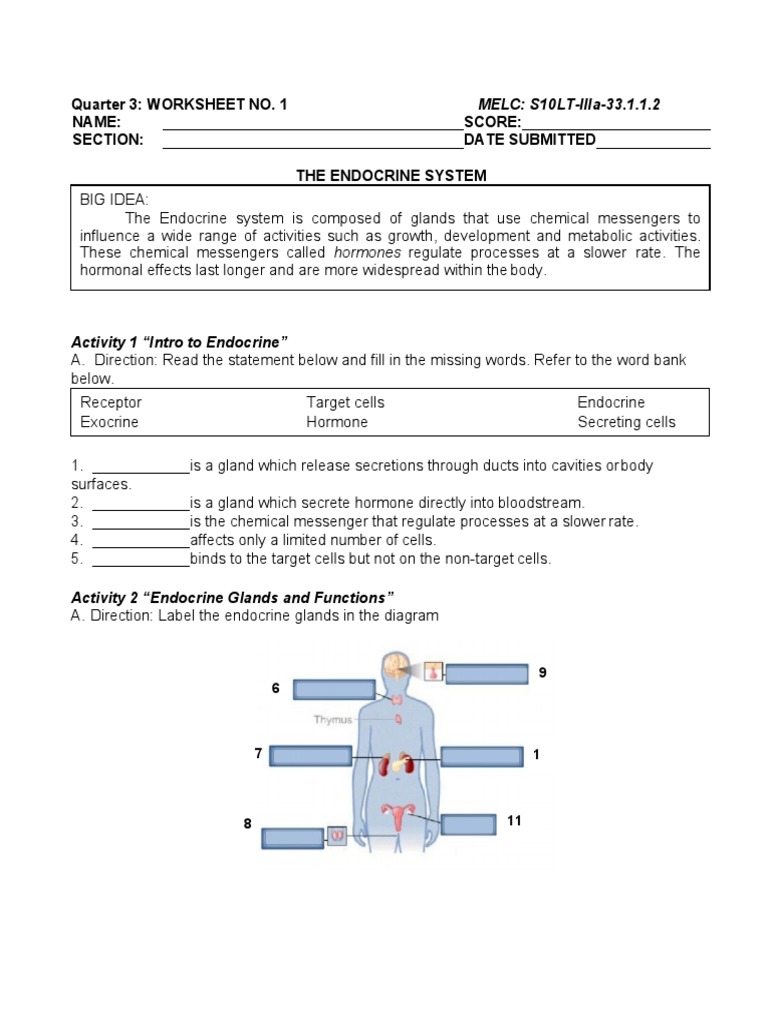 Quarter 3: WORKSHEET NO. 1 Name: Score: Section: Date Submitted The ...