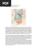 Manual ADIR | PDF