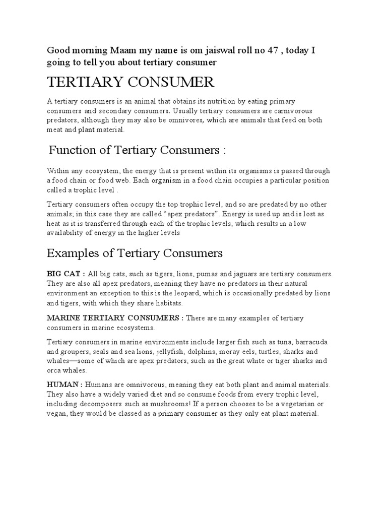 Tertiary Consumer: Function of Tertiary Consumers | PDF | Wellness ...