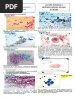 Azul de Tripan | PDF | Tinción | Microscopía