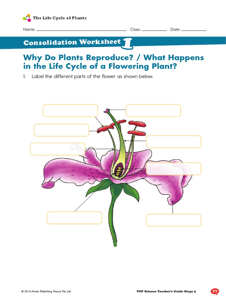 TOP Science Grade 5 Worksheets Chapter 1 | Download Free PDF | Flowers ...