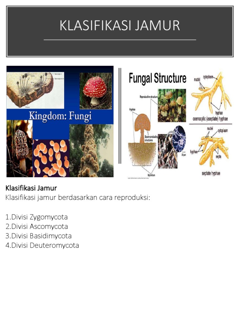 Klasifikasi Jamur | PDF | Kesehatan Holistik