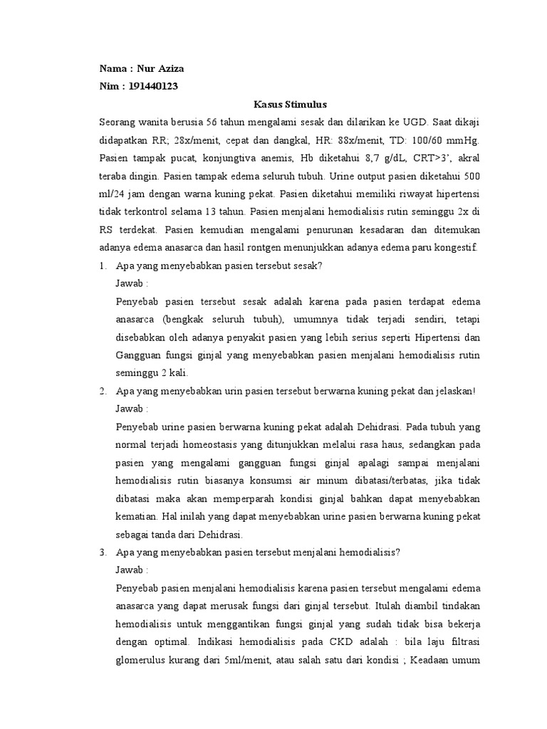 Nur Aziza P LX | PDF