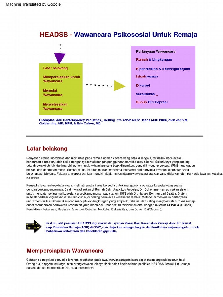 Headss 20 Assessment 20 Guide 1 | PDF