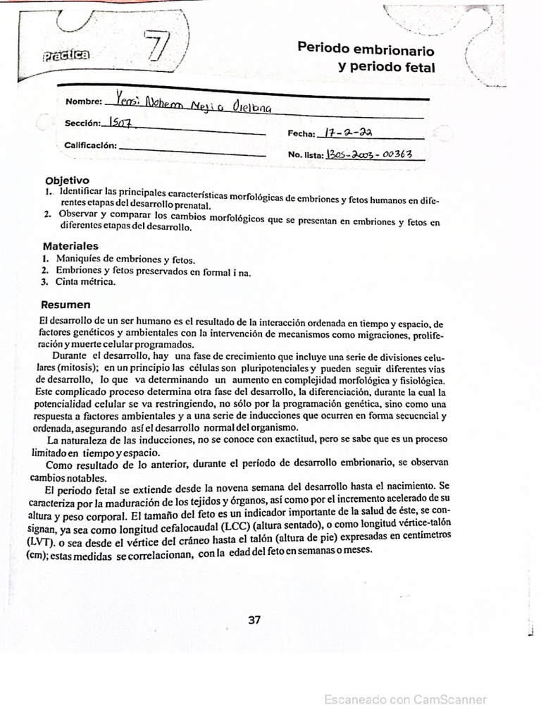Practica #7 Yensi Orellana | PDF
