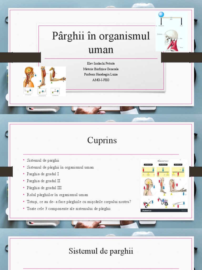 Sisteme de Parghii | PDF