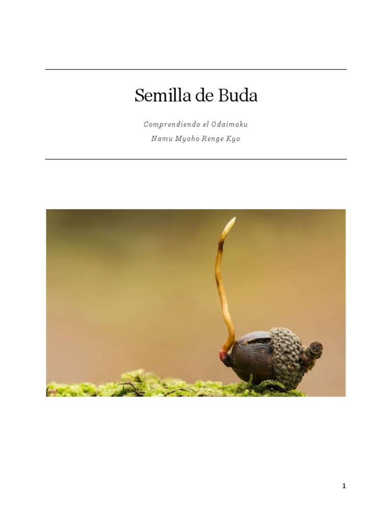 Semilla de Buda | PDF | Sutra del loto | Gautama Buddha