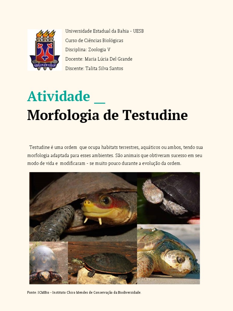 Morfologia de Testudines | PDF