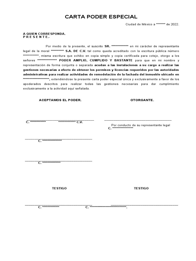 CARTA PODER ESPECIAL Modelo | PDF
