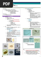 Parasite Ova and Cyst Identification Chart | PDF | Egg