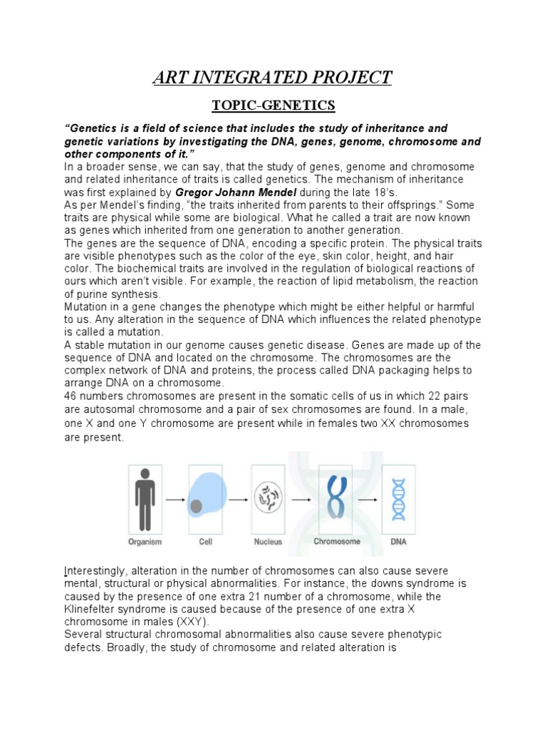 Art Integrated Project: Topic-Genetics | PDF | Genetics | Gene