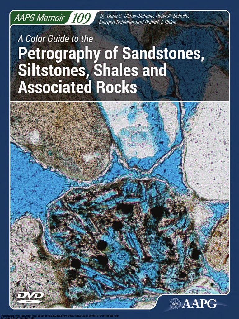 Color Guide To Siliciclastic Rocks | PDF | Minerals | Sedimentary Rock