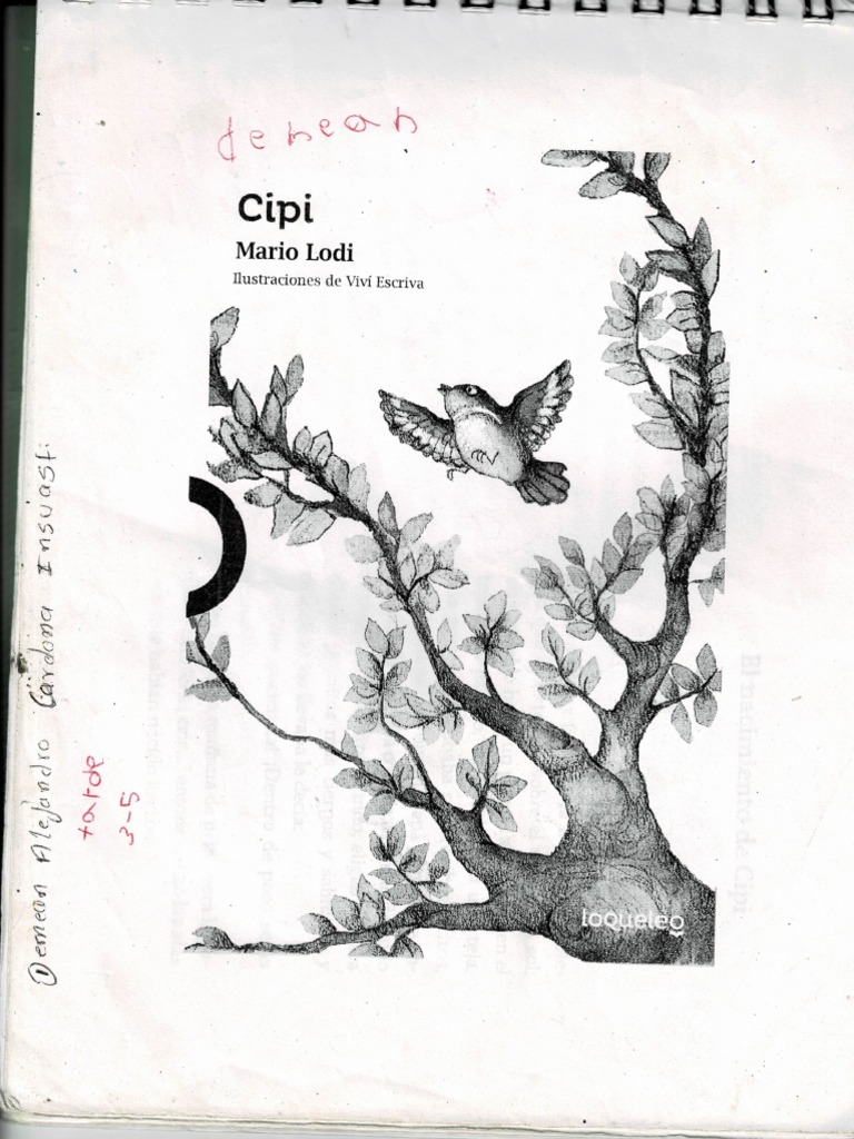 Libro Cipi | PDF