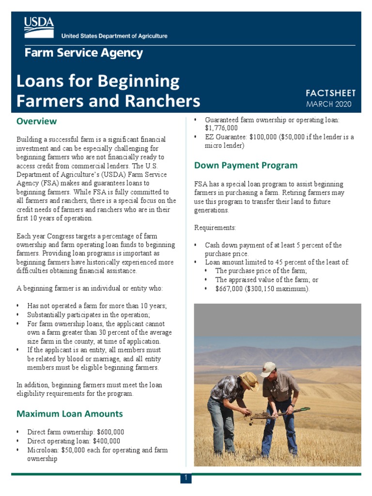 Loans For Beginning Farmers and Ranchers-Factsheet | PDF | Loans ...