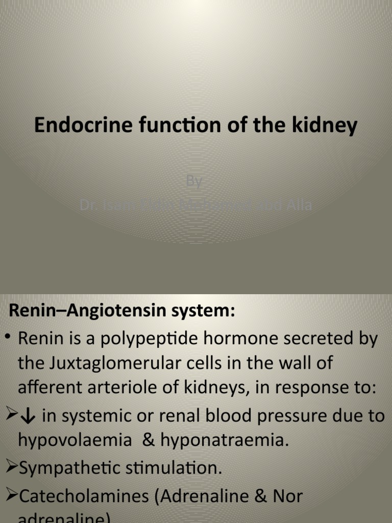 Endocrine Function of The Kidney: by Dr. Isam Eldin Mohamed Abd Alla ...