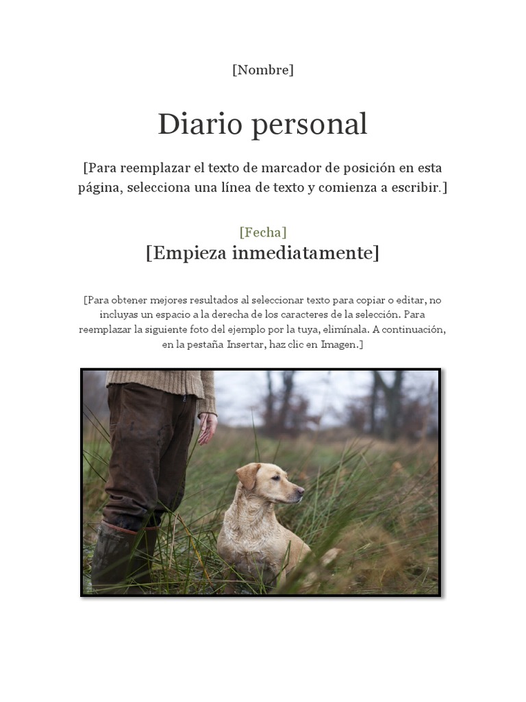 Plantilla Diario Personal | PDF