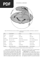 PZX Triangle | PDF | Twilight | Horizon