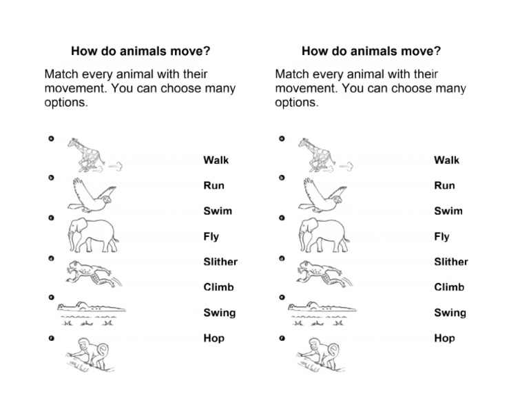 How Animals Move | PDF
