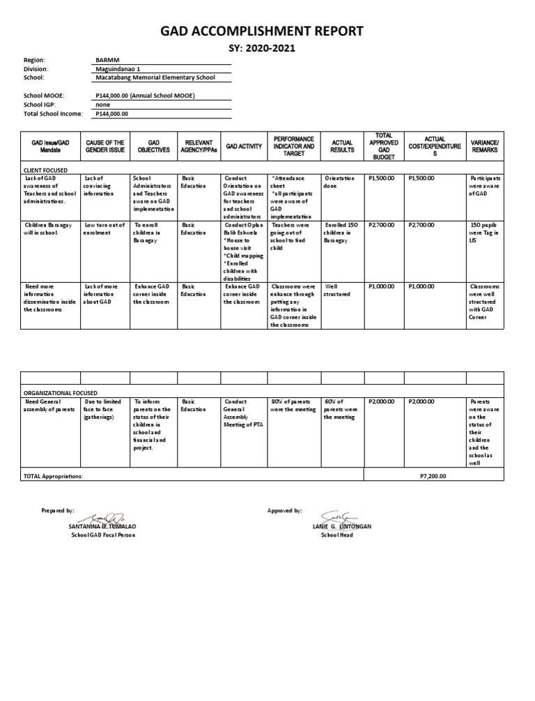 GAD Accomplishment Report | PDF