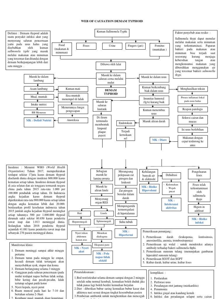 Woc Minggu Ke-1 (Typhoid) - Syifa Wulandari | PDF