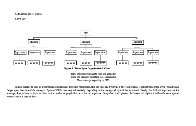 3 Span Organizational Chart | PDF