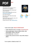 Obrazec Prijava Zacasnega Prebivalisca | PDF