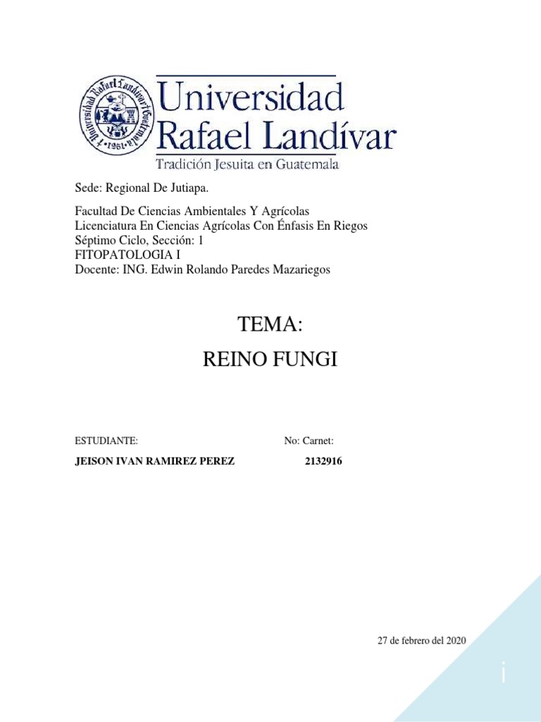 Reino Fungi | PDF | Hongo | Eucariotas