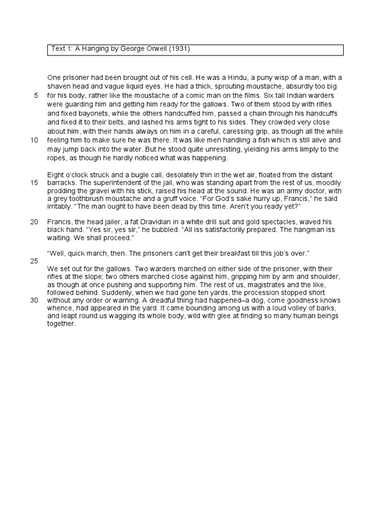 Literary Extract - Practice IO - Srihan | PDF