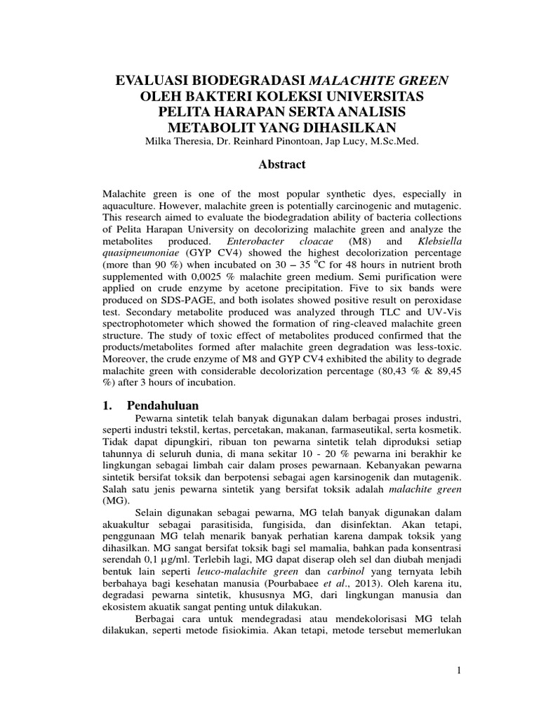 Contoh Sinopsis Skripsi | PDF