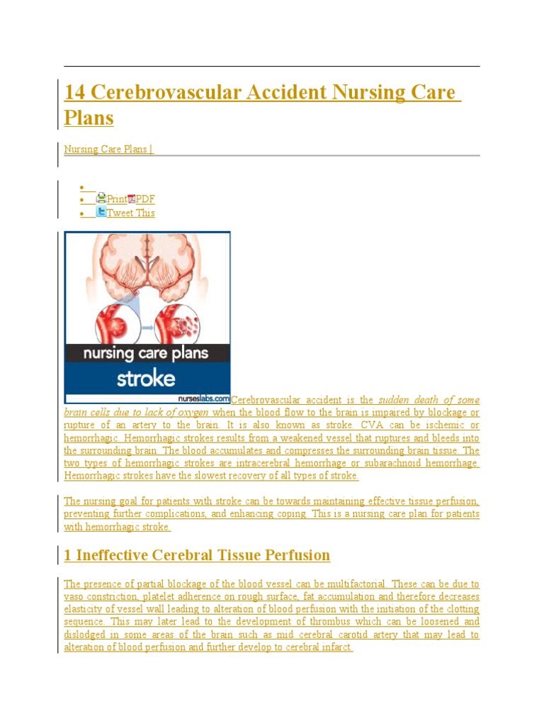 14 Cerebrovascular Accident Nursing Care Plans | PDF | Stroke | Coma