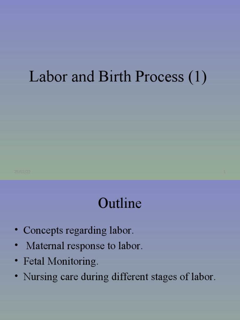 Lec Labor and Birth Process | PDF | Childbirth | Skull