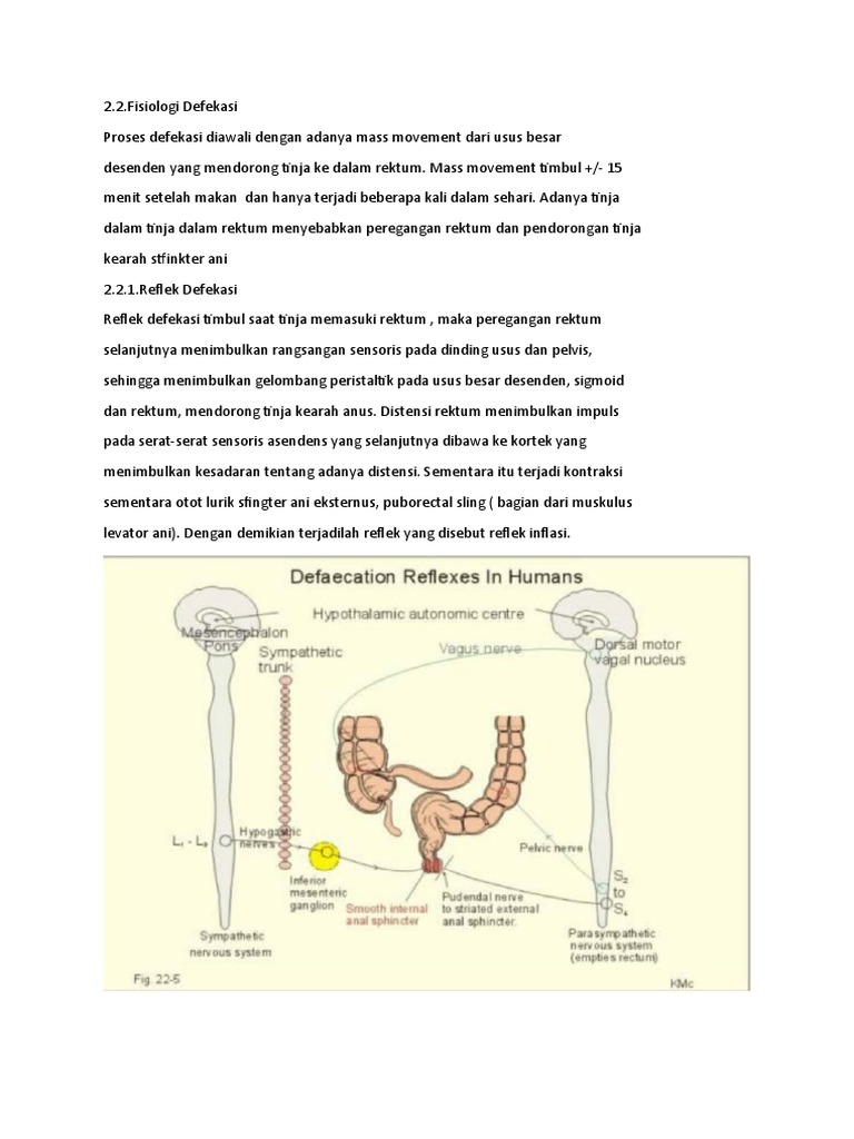Reflek Defekasi 2 | PDF