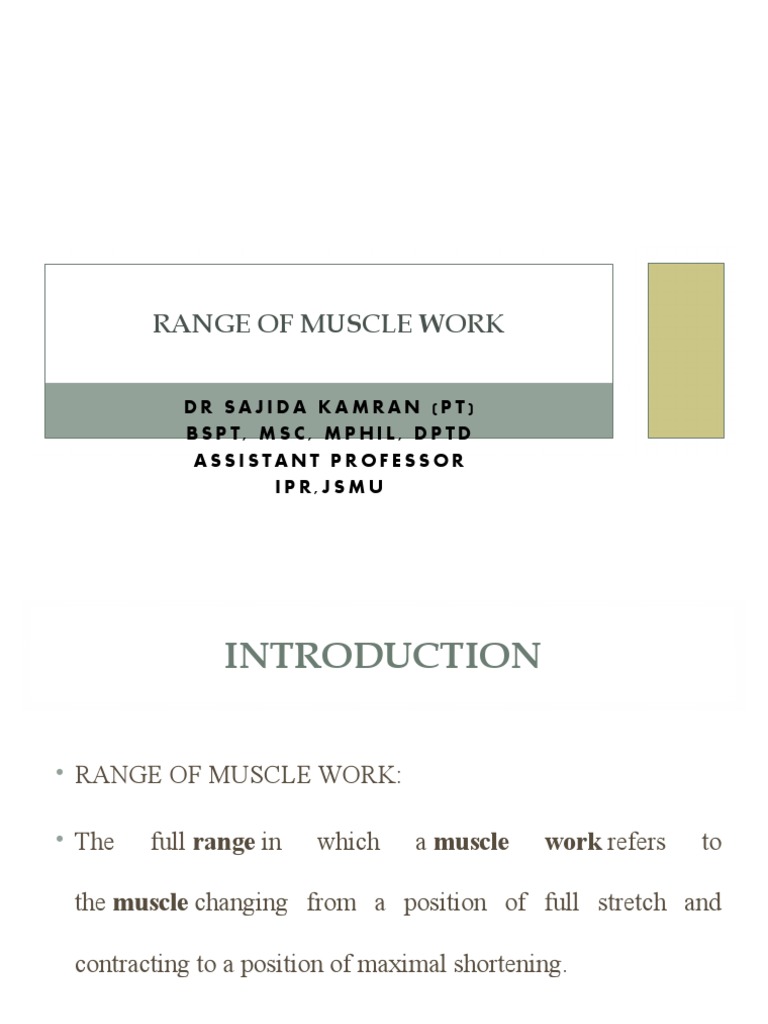 Muscle Work Ranges in Therapy | PDF | Anatomical Terms Of Motion | Anatomy