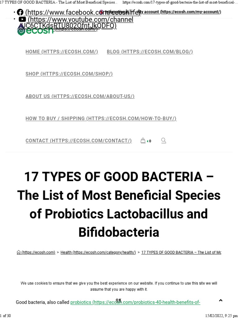 17 TYPES OF GOOD BACTERIA - The List of Most Beneficial Species of ...