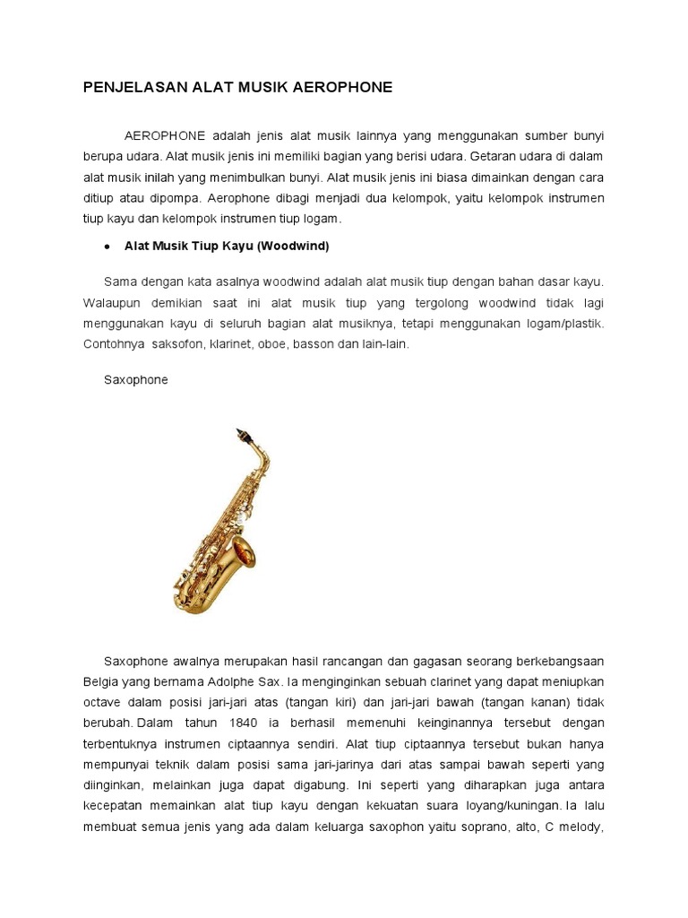 Sejarah dan Jenis Alat Musik Aerophone | PDF