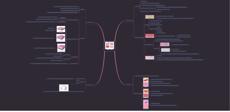 Tissue Mind Map | PDF | Epithelium | Tissue (Biology)