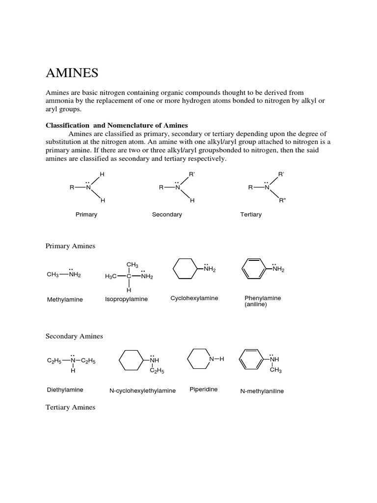 Amines Chemistry | PDF | Amine | Aromaticity