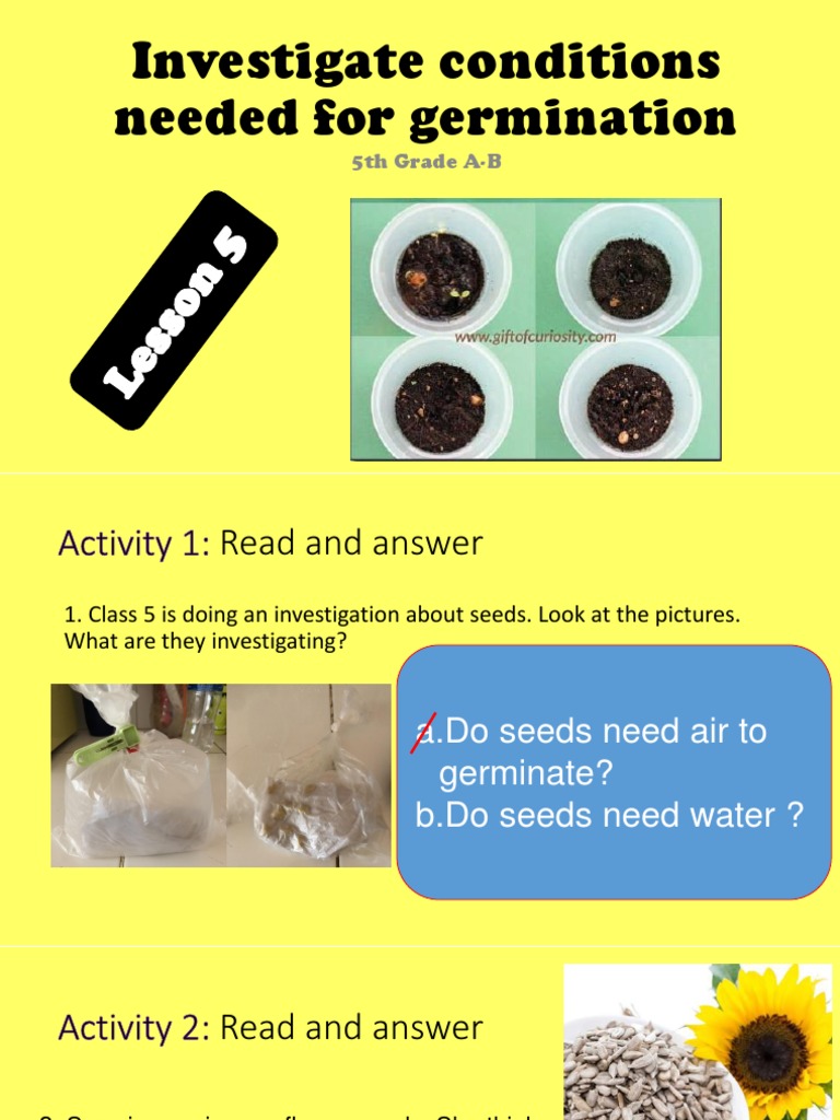 Lesson 5 Investigate Conditions Needed For Germination | PDF | Seed ...