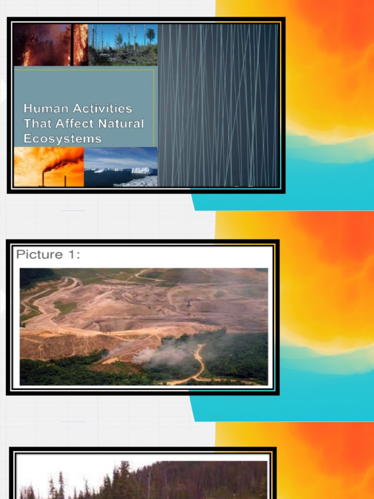 Human Activities That Affect Natural Ecosystems | PDF